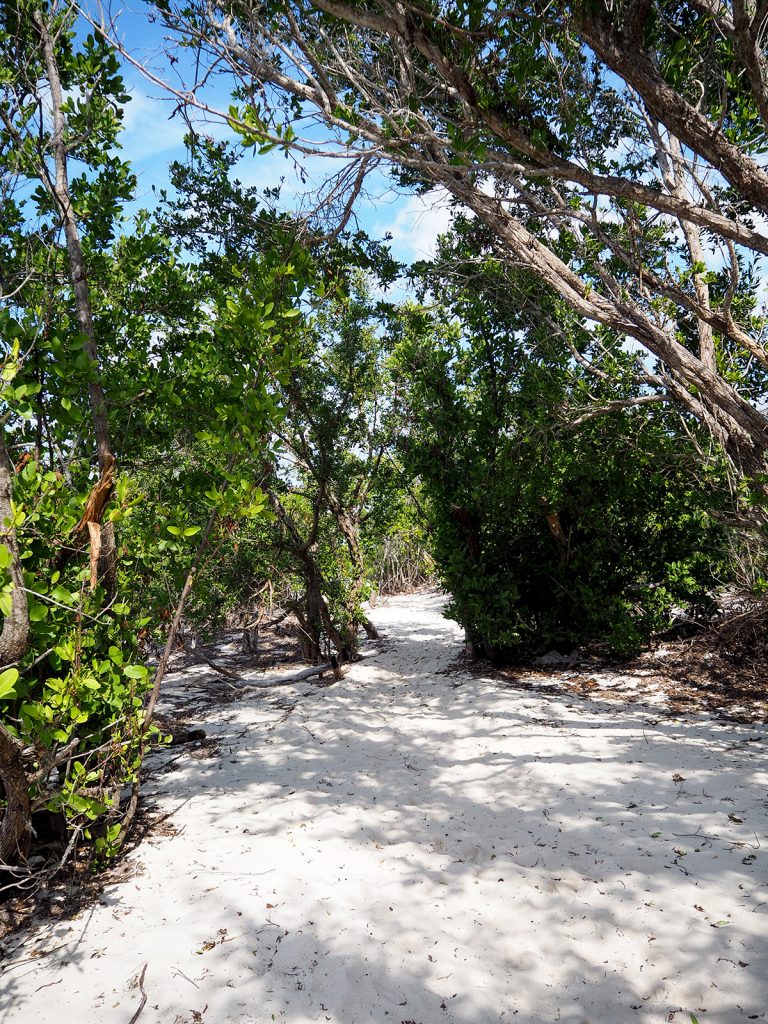 Cuba : Cayo Macho (Cayo Iguana) ! - La Minute Fashion